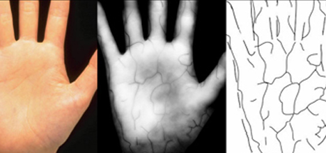 Fujitsu names PCSC as master distributor for PalmEntry solutions