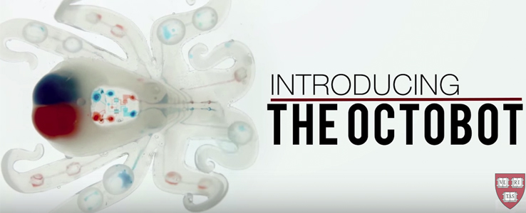Video Harvard Universitys New Soft Robot Octobot