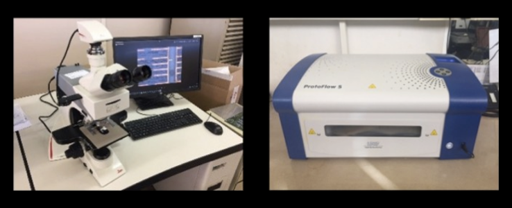 Lab Circuits upgrades facility