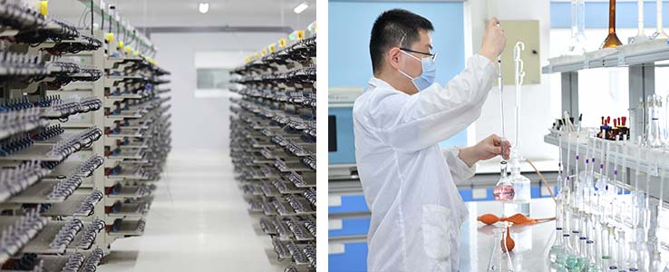 BASF and Shanshan form battery materials joint venture in China