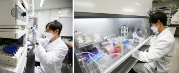 Seoul Semiconductor: plants grow better under sun-like LED